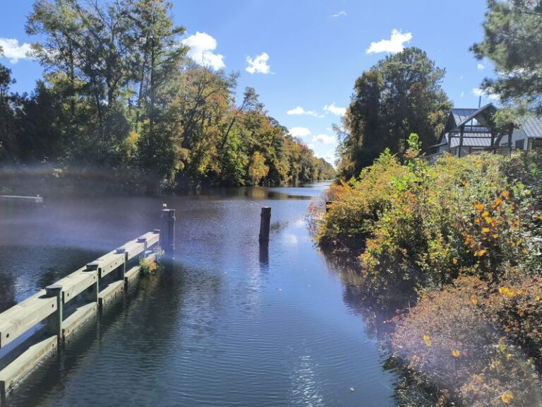 This North Carolina Swamp Feels Like It Moves Under Moonlight