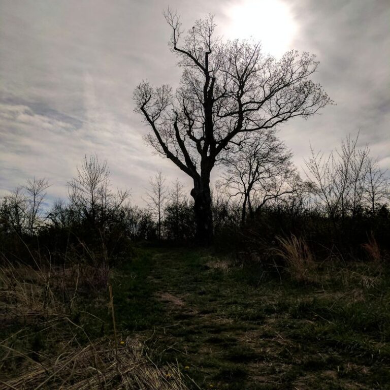 This Sinister Spot in New Jersey Still Leaves Locals Stumped