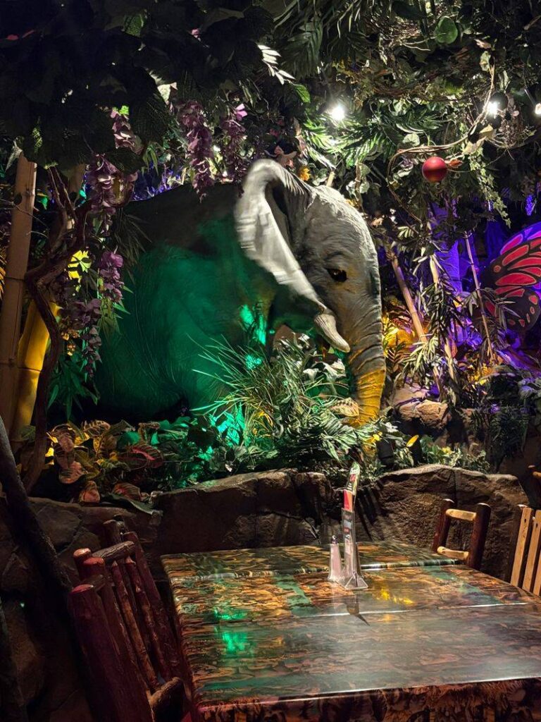 This Texas Restaurant Transforms Your Meal Into an Immersive Rainforest ...