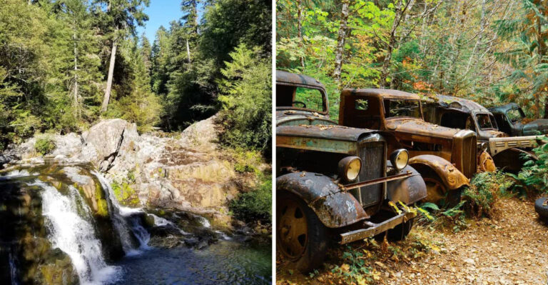 A Hidden Oregon Nature Walk That Shows a Whole Different Side of the State