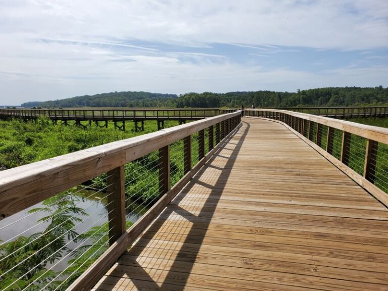 This Stunning Boardwalk Hike Is Virginia's Best Kept Secret For Outdoor ...