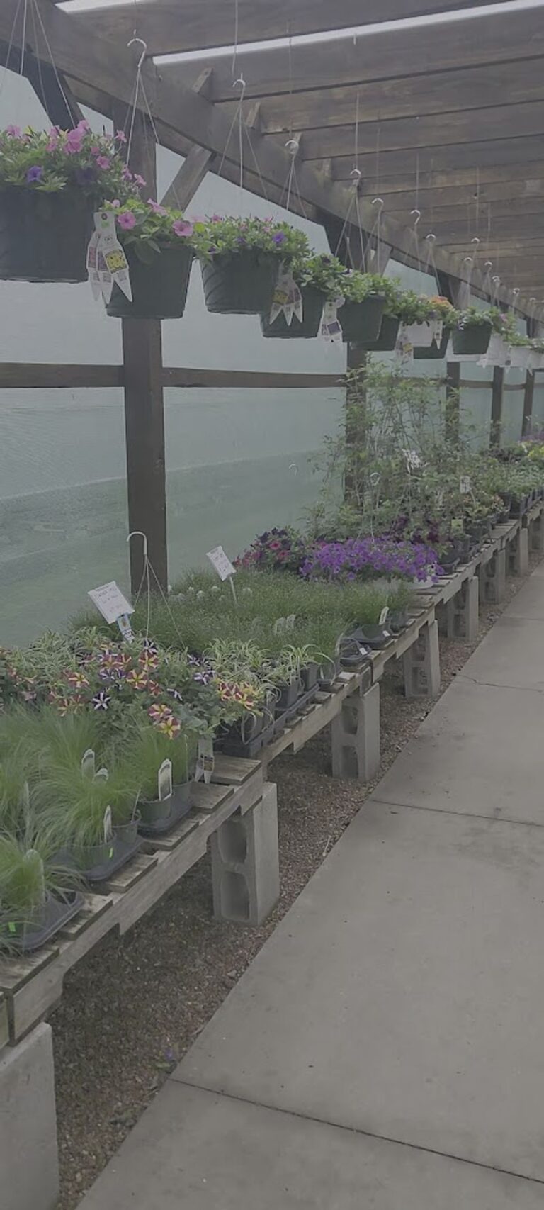This Amish Greenhouse In Oklahoma Is Growing On Everyone