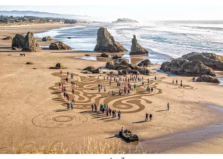 This Beach in Oregon Hides a Maze You Can Only Explore at Low Tide