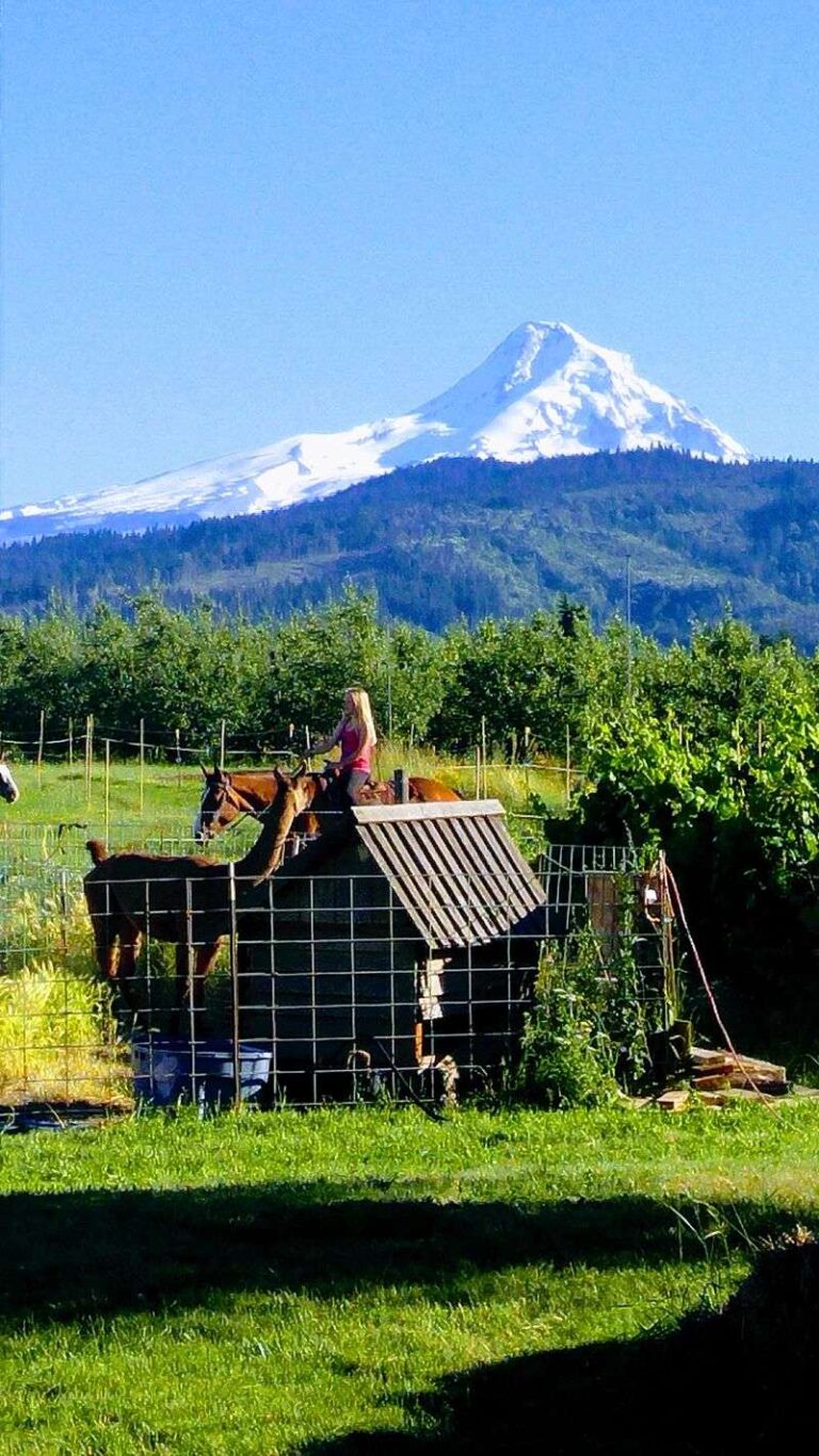 This Epic Horseback Ride in Oregon Leads Straight to a Stunning Waterfall