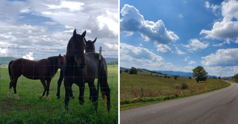 This Hidden Mountain Valley In Virginia Features Rare Species Found ...