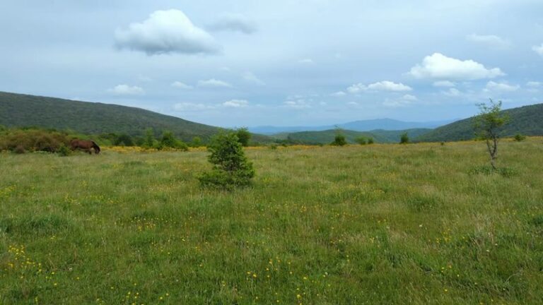 This Hidden Volcano Hike In Virginia Is The Dormant Wonder Your Spring ...
