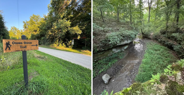 This Indiana Nature Preserve Features a Sandstone Ravine That Was Once ...
