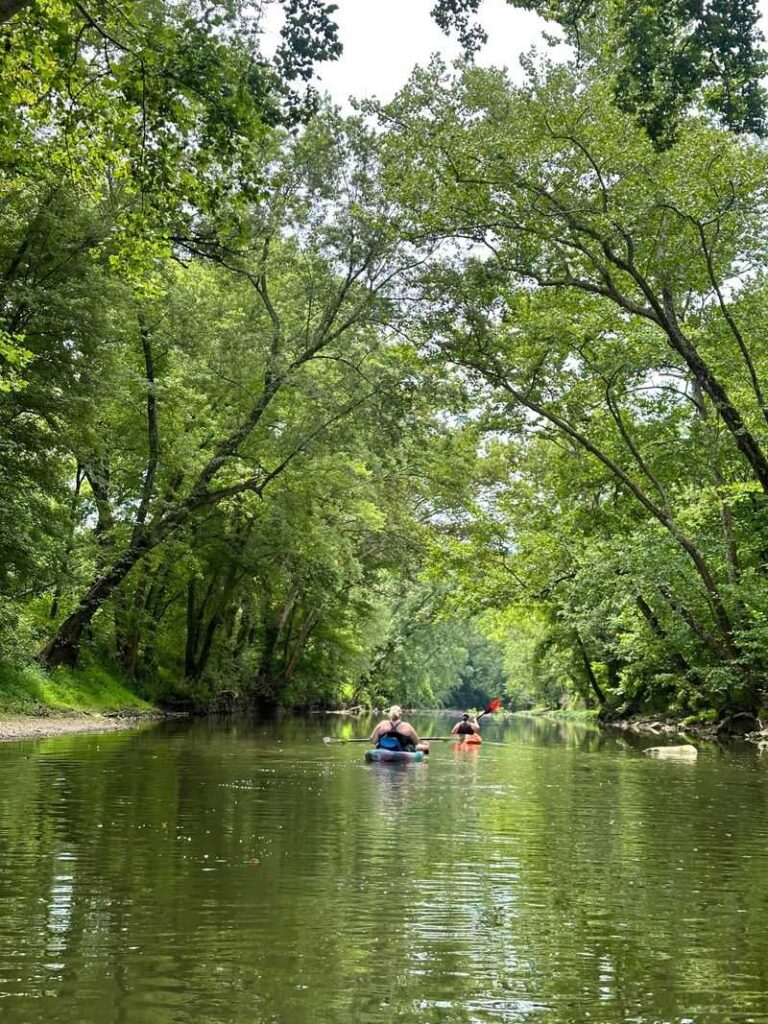 This Indiana River Trail Is a Favorite for Kayaking and Wildlife Spotting