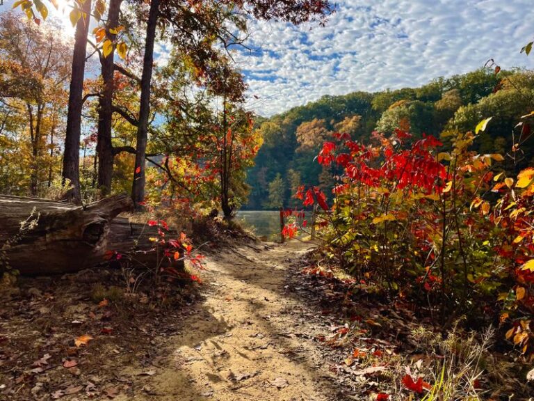 This Indiana Trail Is Short, Sweet, and Surprisingly Scenic