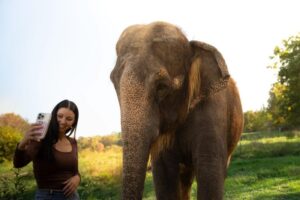 This Massive Indiana Ranch Lets You Bathe Elephants, Feed Giraffes, and ...