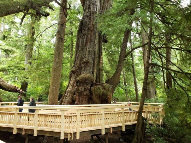 This Stunning Boardwalk Hike Is Oregon's Best Kept Secret For Outdoor ...