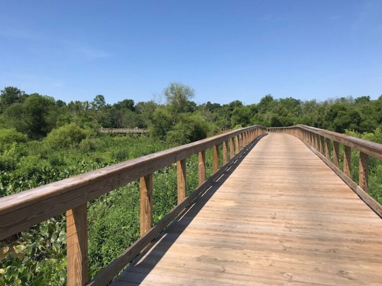 This Stunning Boardwalk Hike Is Virginia's Best Kept Secret For Outdoor ...