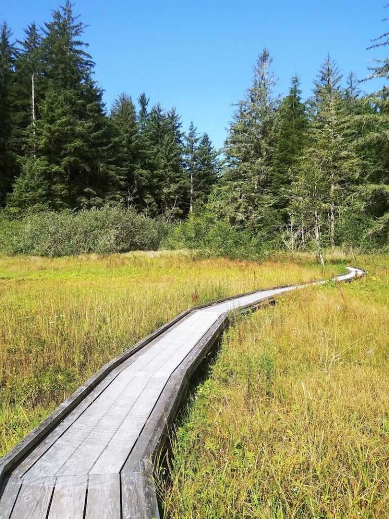Most People Drive Right Past This Hidden Oregon Coast Reserve Packed ...