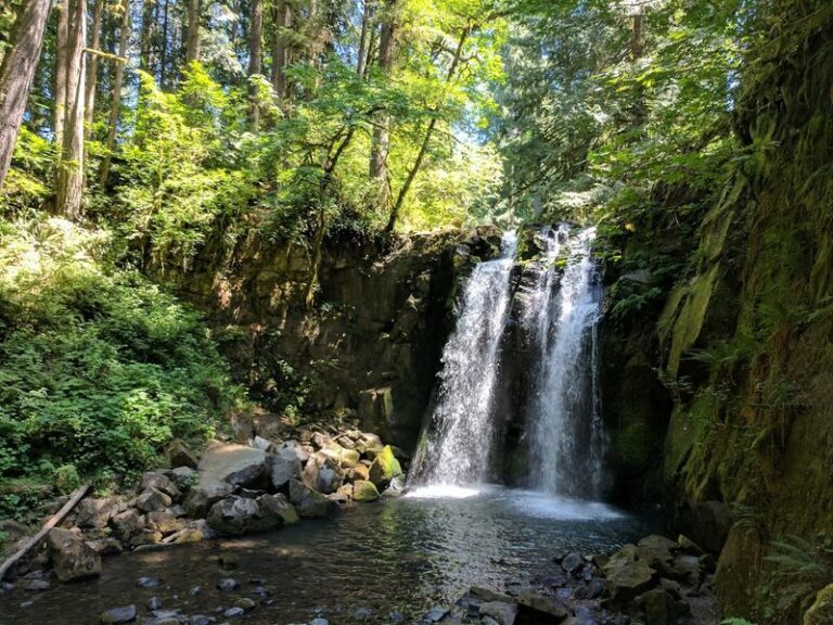 This Oregon Waterfall Loop Takes You Past Four Stunning Falls in Just 1 ...