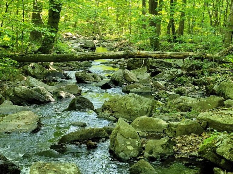 This Underrated New Jersey Trail Hides A Roaring Water Phenomenon In A ...