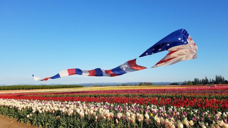 10 Places in Oregon Where You Can Enjoy Stunning Tulip Fields in Full Bloom
