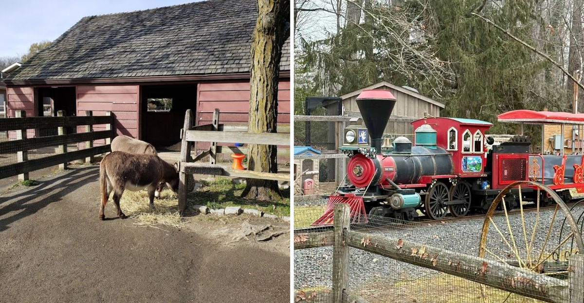 This Cute Little Zoo In New Jersey Might Be The Best Budget-Friendly ...