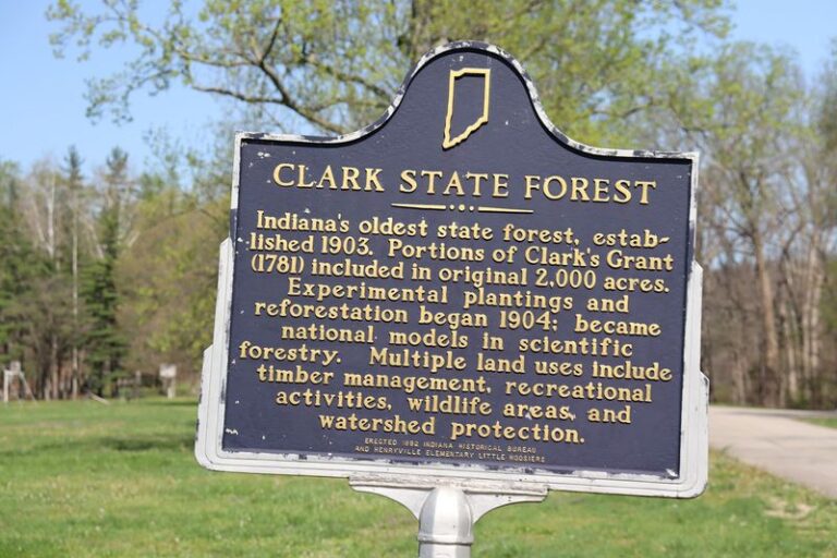This Indiana State Forest Loop Delivers Ridge Views and Deep Silence ...