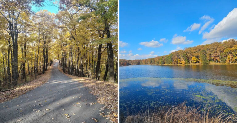 This Indiana State Forest Loop Delivers Ridge Views and Deep Silence ...