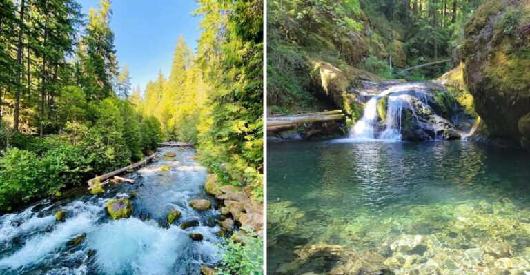 10 Oregon Swimming Holes So Secret That Locals Will Lie To Your Face ...