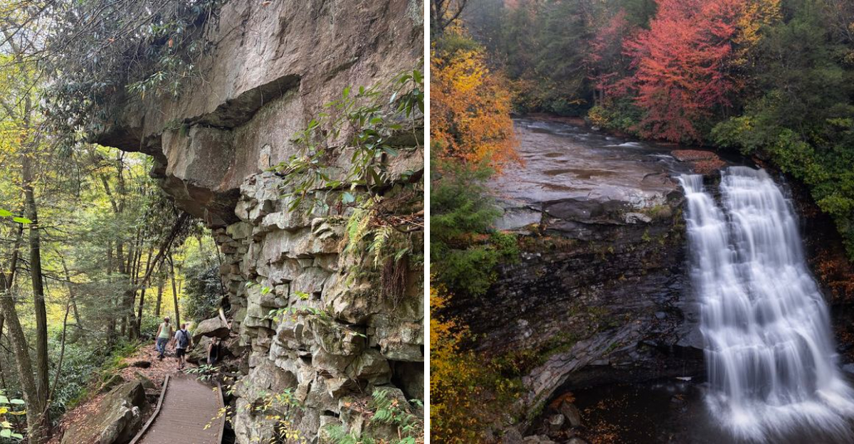 The Short Maryland Hike That Takes You to One of the State's Most ...