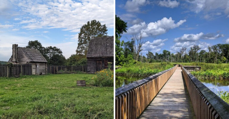 This Maryland Narnia Trail Turns An Ordinary Family Walk Into A Magical ...