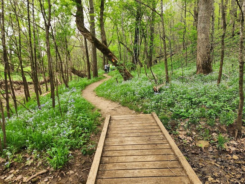 11 Hidden Missouri State Parks So Quiet, Even Your Thoughts Start ...