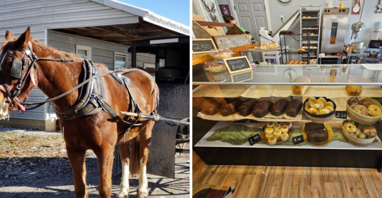 12 Hidden Amish Country Gems in Missouri Serving Hearty Meals, Fresh ...