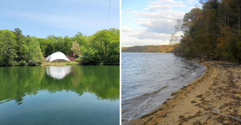 8 Best Virginia Places To Find Fossils, Shark Teeth, And More