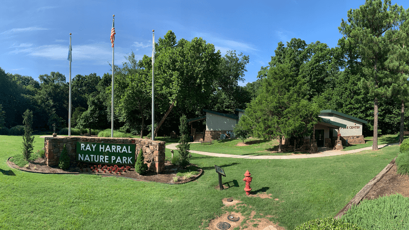 This 40-Acre Woodland Oasis in Oklahoma Hides a 115-Year-Old Spring and ...
