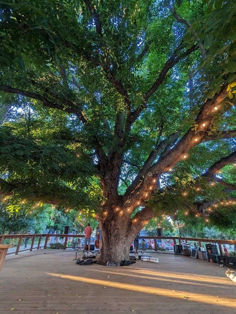 This Oregon Farm Turns Summer Nights Into Magical Evenings Of Music And ...