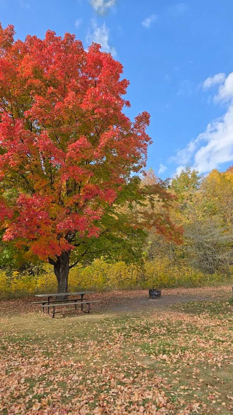 This 9,000+ Acre Minnesota State Park Features Lakes, 25 Miles of ...