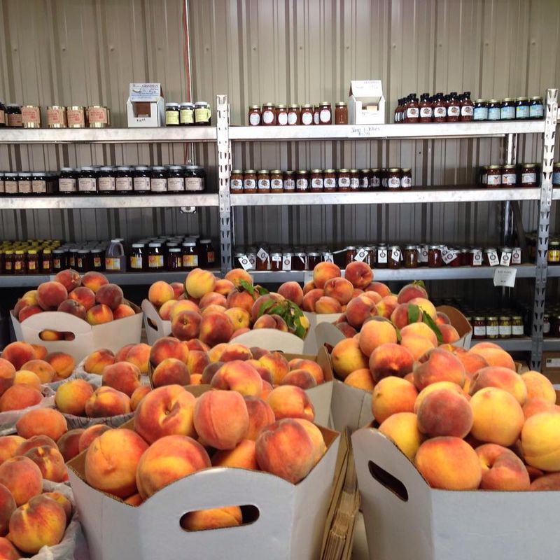 This Small Oklahoma Farm Lets You Pick Fresh Flowers, Produce, and Pure ...