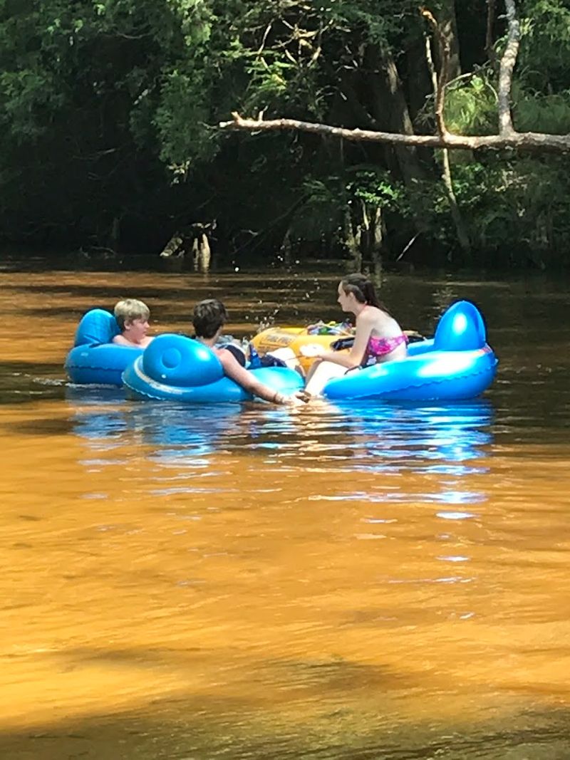 This Natural Alabama Lazy River Feels Like A Floating Adventure Through ...