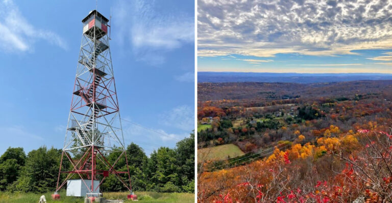 The Remote Tower Rising Above New Jersey's Wilderness With Jaw-Dropping ...