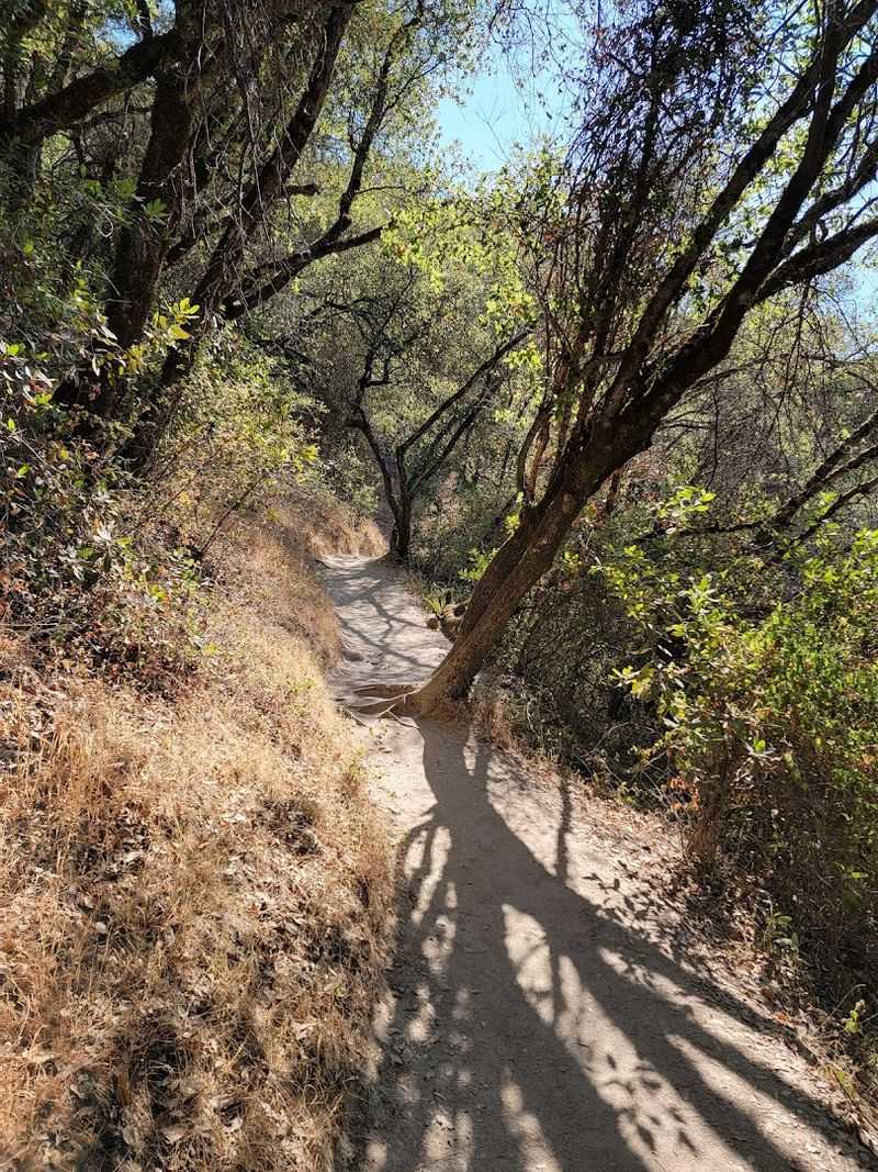 This California Swimming Hole Has Emerald Waters That Will Make You ...