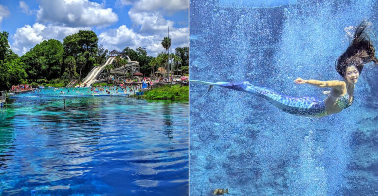 This Florida Spring Still Has Live Mermaid Shows In A Real Underwater ...
