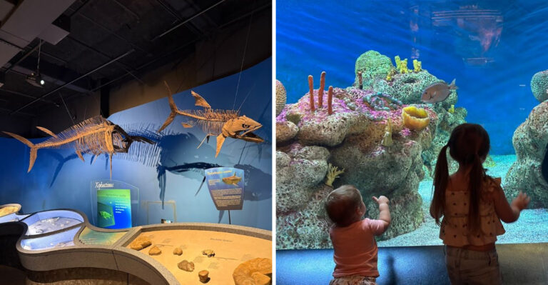 This Massive 4-Story Alabama Science Center Hides Real Dinosaurs and ...
