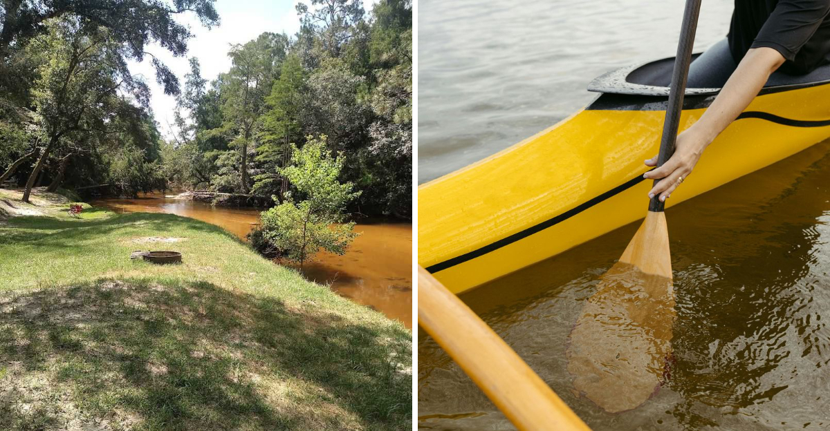 This Natural Alabama Lazy River Feels Like A Floating Adventure Through ...
