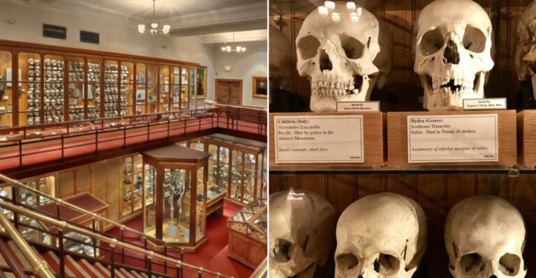 This Pennsylvania Museum Is One Of The Strangest And Most Fascinating ...