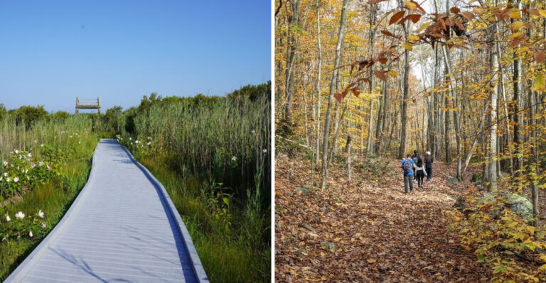 You Don't Have To Be A Serious Hiker To Enjoy These 10 Easy New Jersey ...
