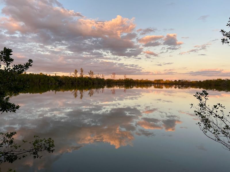 This Florida Boardwalk Trail Leads Into A Wild Cypress Swamp Where ...
