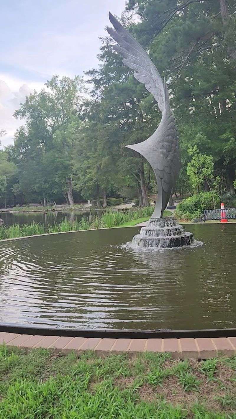 The Only Public Garden in the U.S. with All Eight Swan Species Is ...